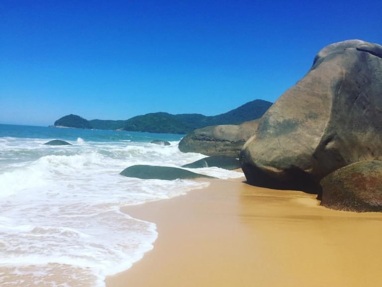 A Day in The Life: Shore Excursion Staff (Job Description) | The Crew ...